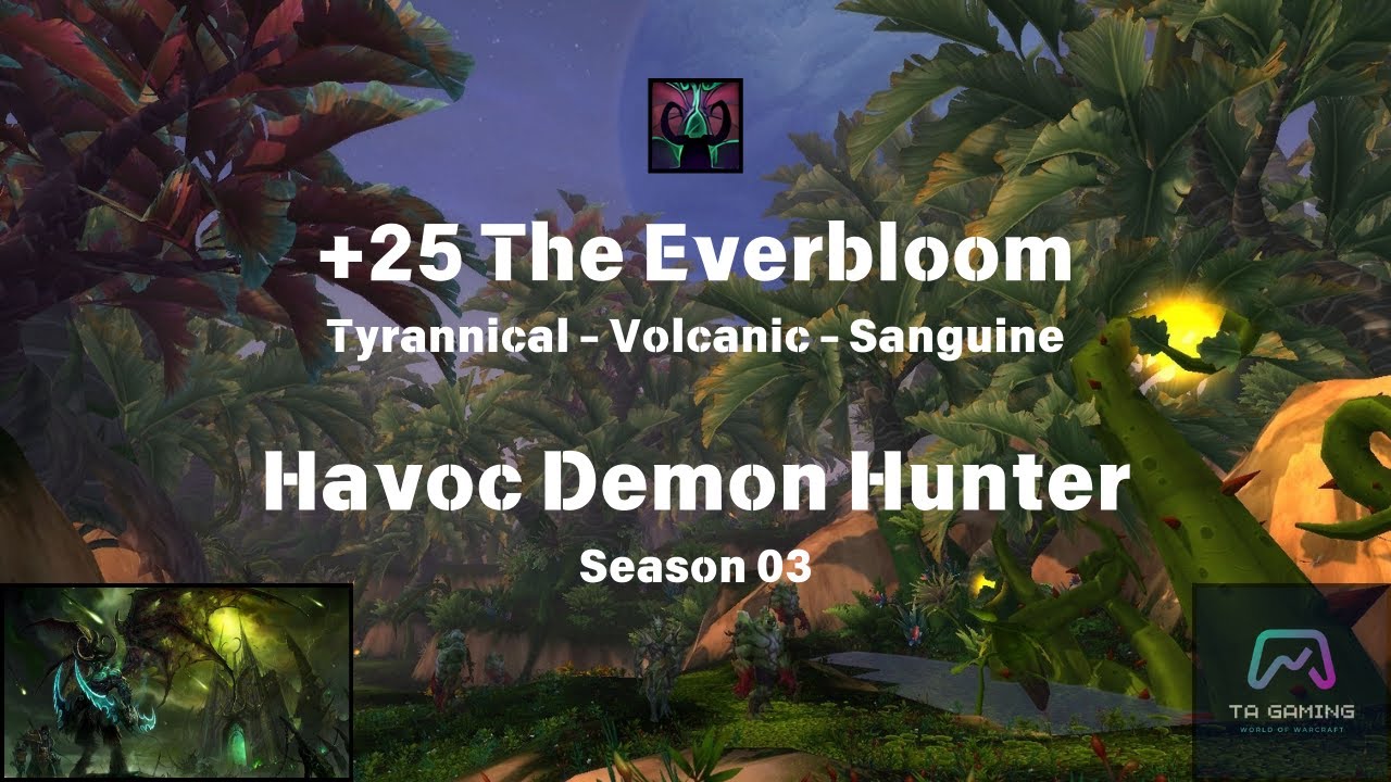 +25 The Everbloom | Havoc Demon Hunter PoV | Tyrannical/ Volcanic ...