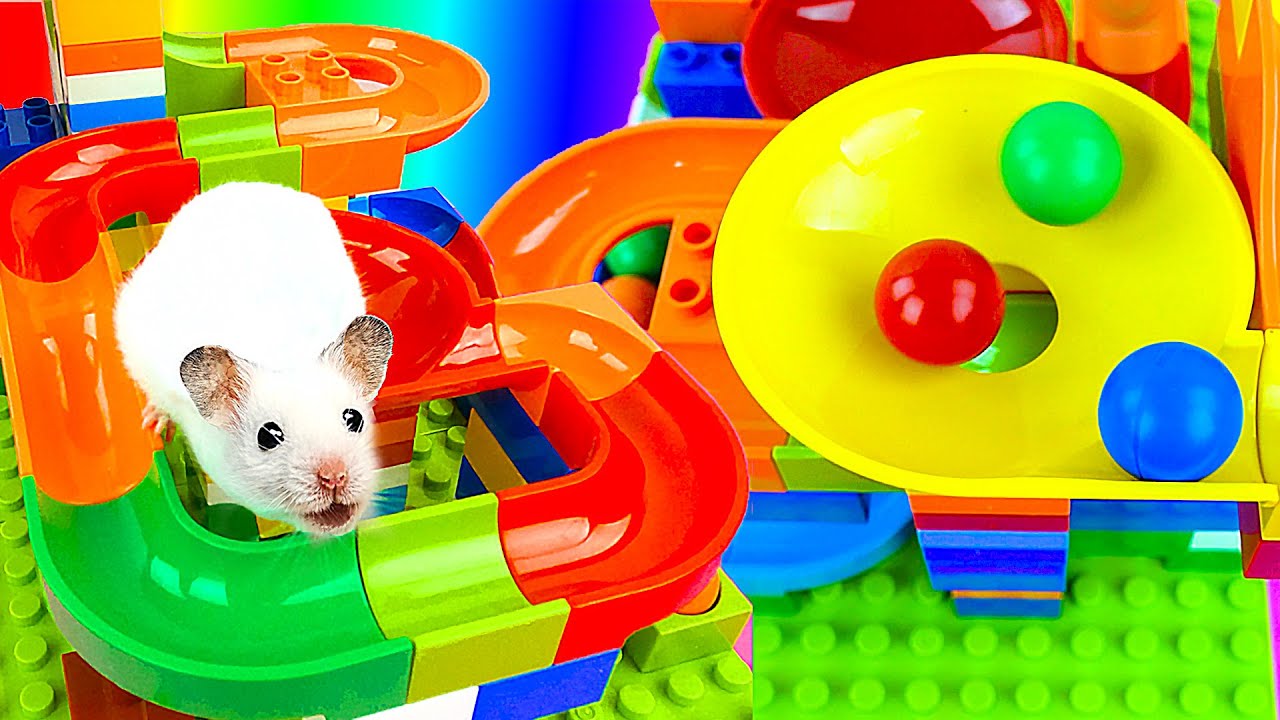 Hamster Marble Tower with Race - YouTube