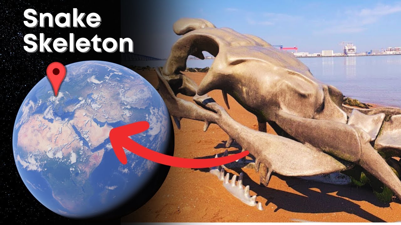 Creepy Snake Skeleton 🐍 on Google Earth and Google Maps 🌎 - YouTube