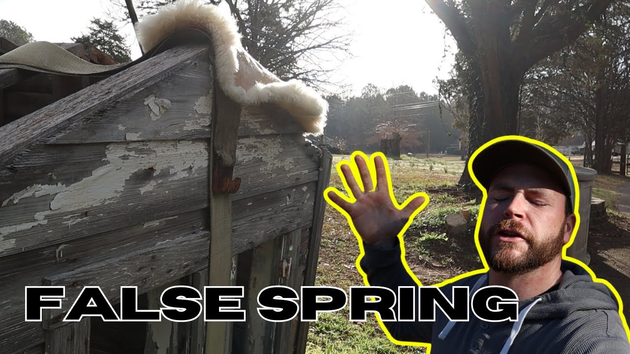 Welcome to FALSE SPRING in South Carolina - YouTube