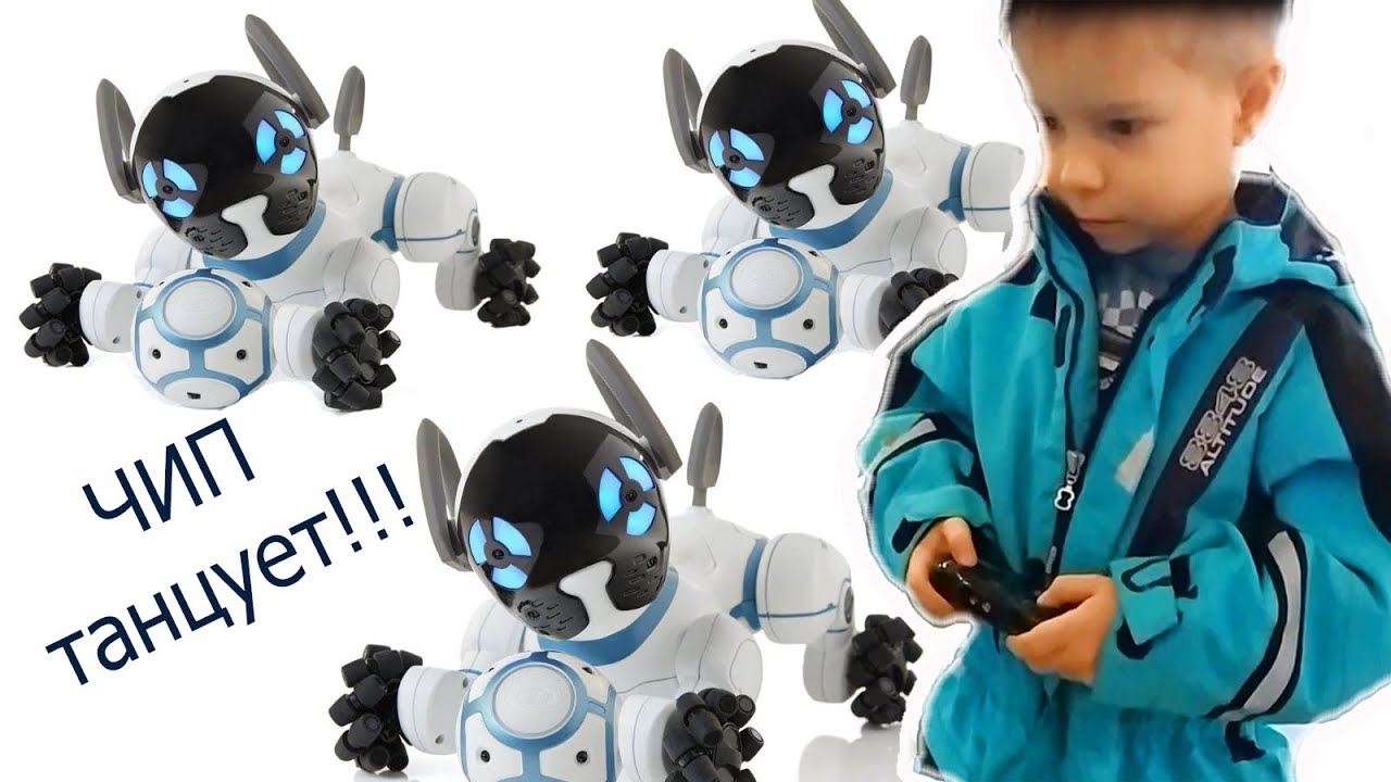 Собака-робот Чип танцует! Robot Chip! Chip yoga! - YouTube