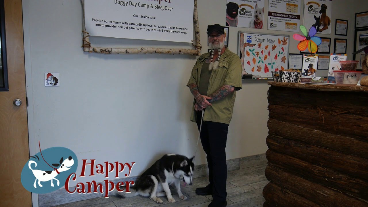 Meet Dave - Dog Trainer - YouTube