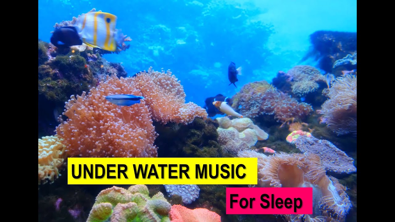 Underwater Music for sleep - YouTube