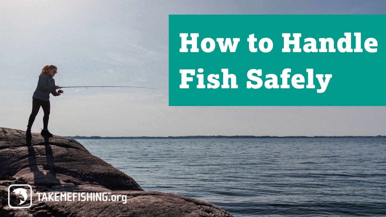 How To Handle Fish Safely - YouTube