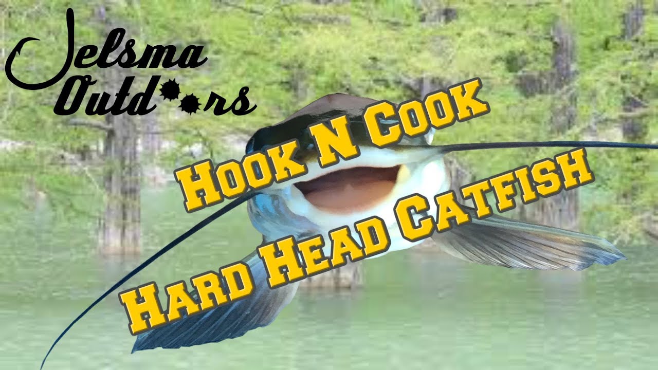 Hook n Cook Hardhead Catfish Cooking Hard head Catfish catch n cook ...