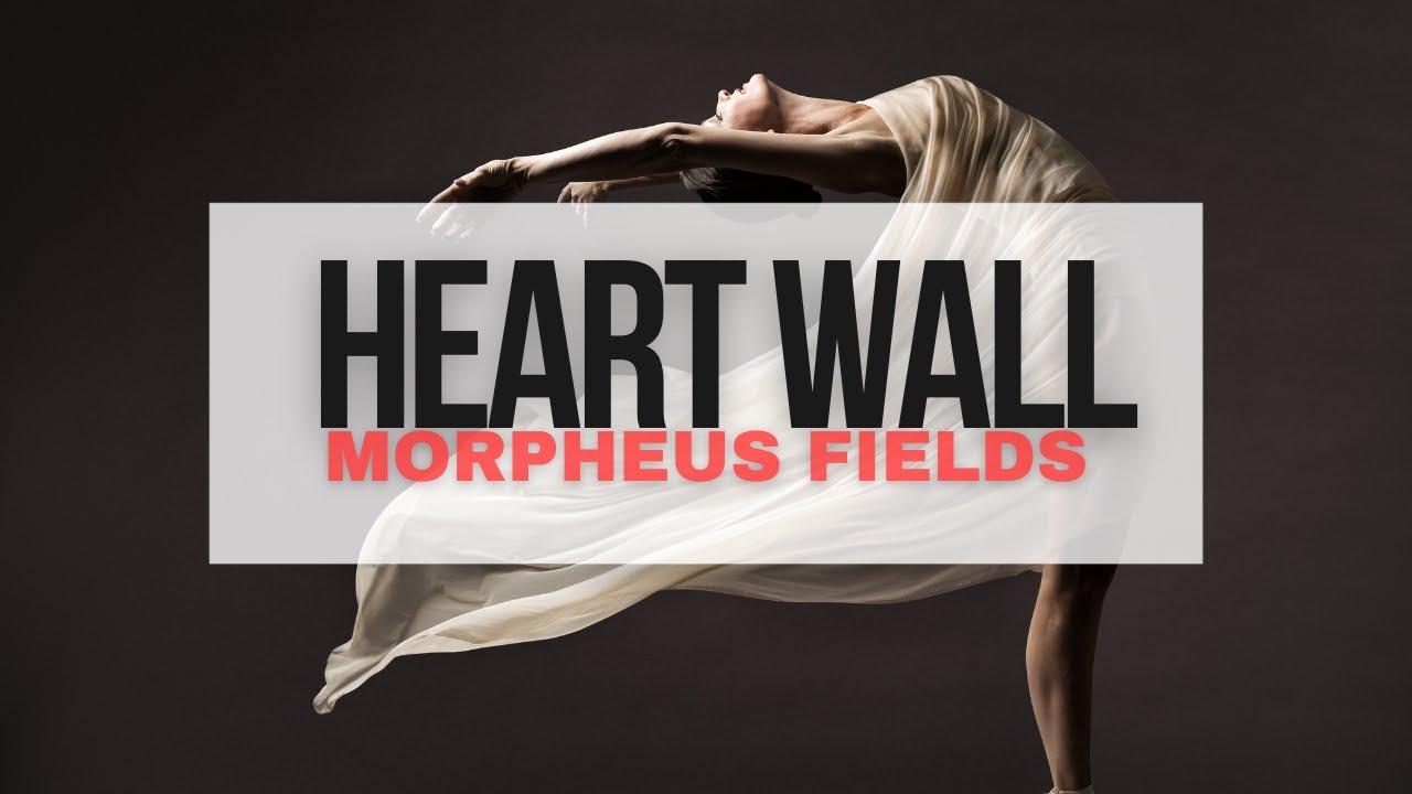 heart wall (morphic field) - YouTube