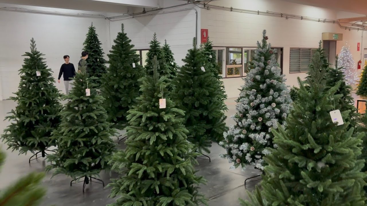 🎄Christmas Tree Factory In Thailand🎄| Expat life in Asia | Bangkok ...