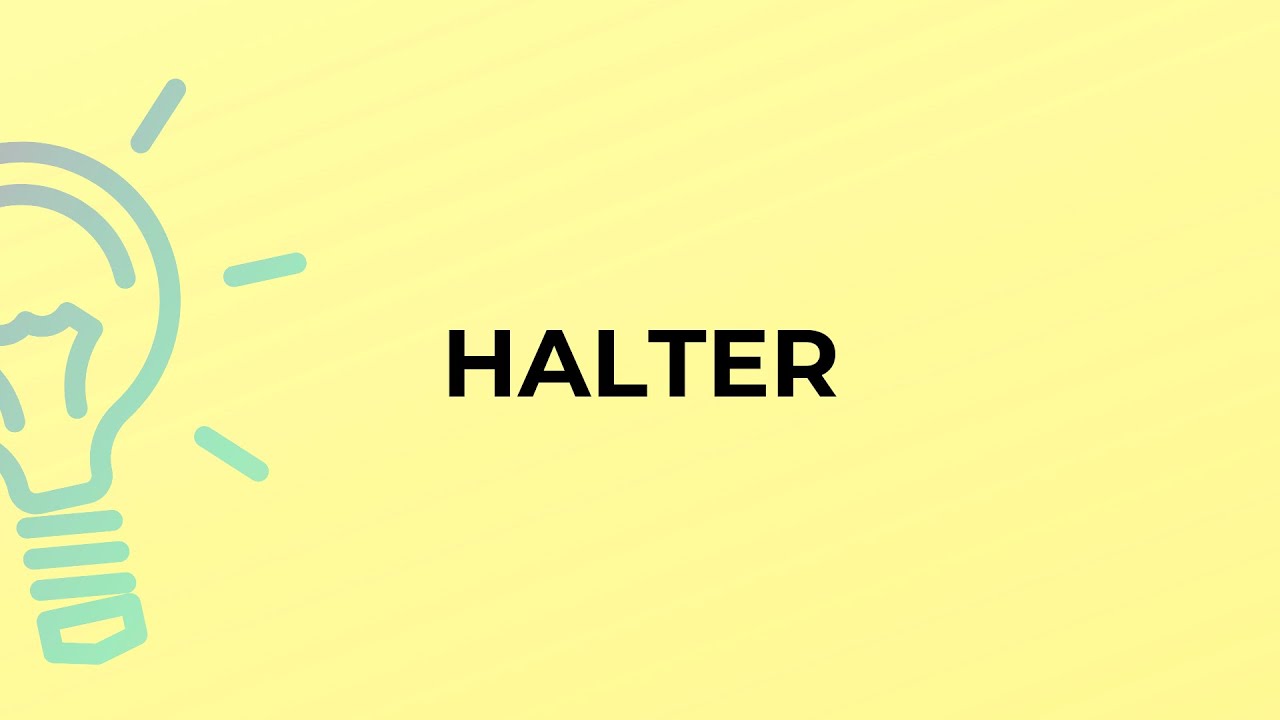 What is the meaning of the word HALTER? - YouTube