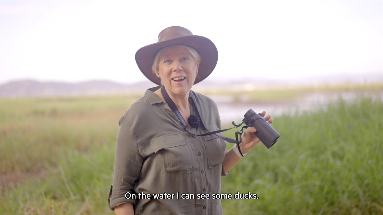 The Wetlands | Queensland Museum Network - YouTube