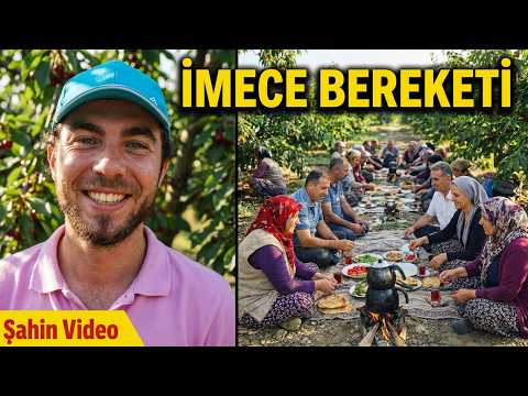 Köyde imece usulü Vişne toplama Doktor Öğretmen işçi hepimiz bir aradayız 