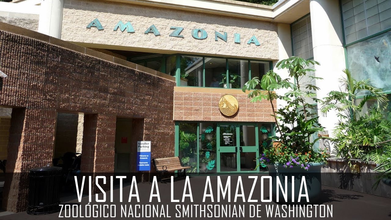 REVIEW: Sobre mi visita a la Amazonia del zoológico nacional ...