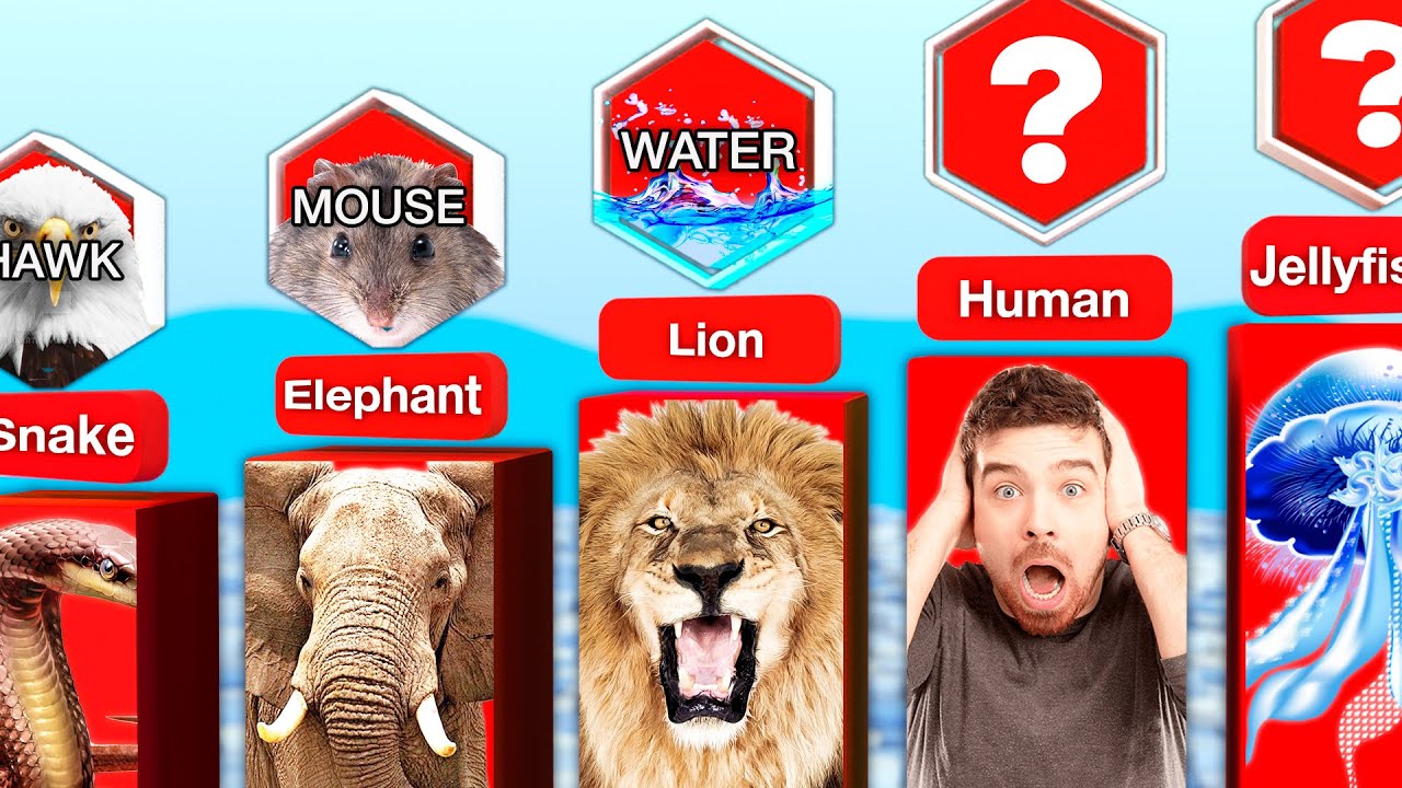 Animals And Their Weaknesses - YouTube