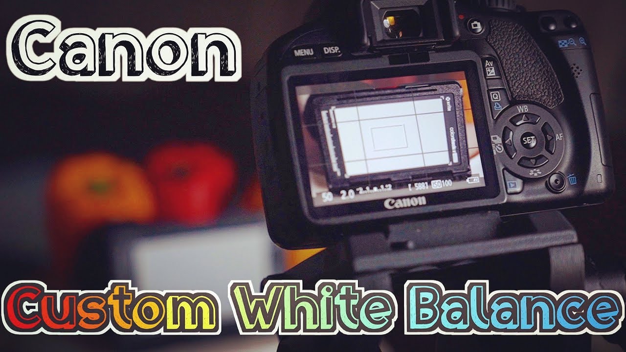 Custom White Balance on Canon Cameras – How to Use a Gray Card to Get ...