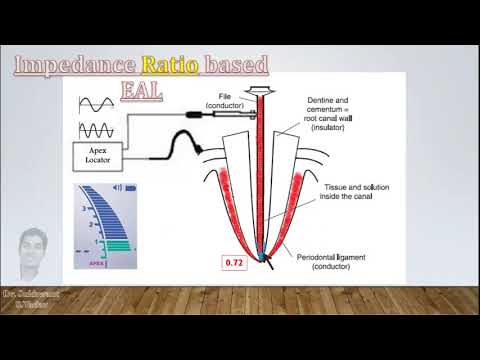 Principles of Apex Locators - YouTube