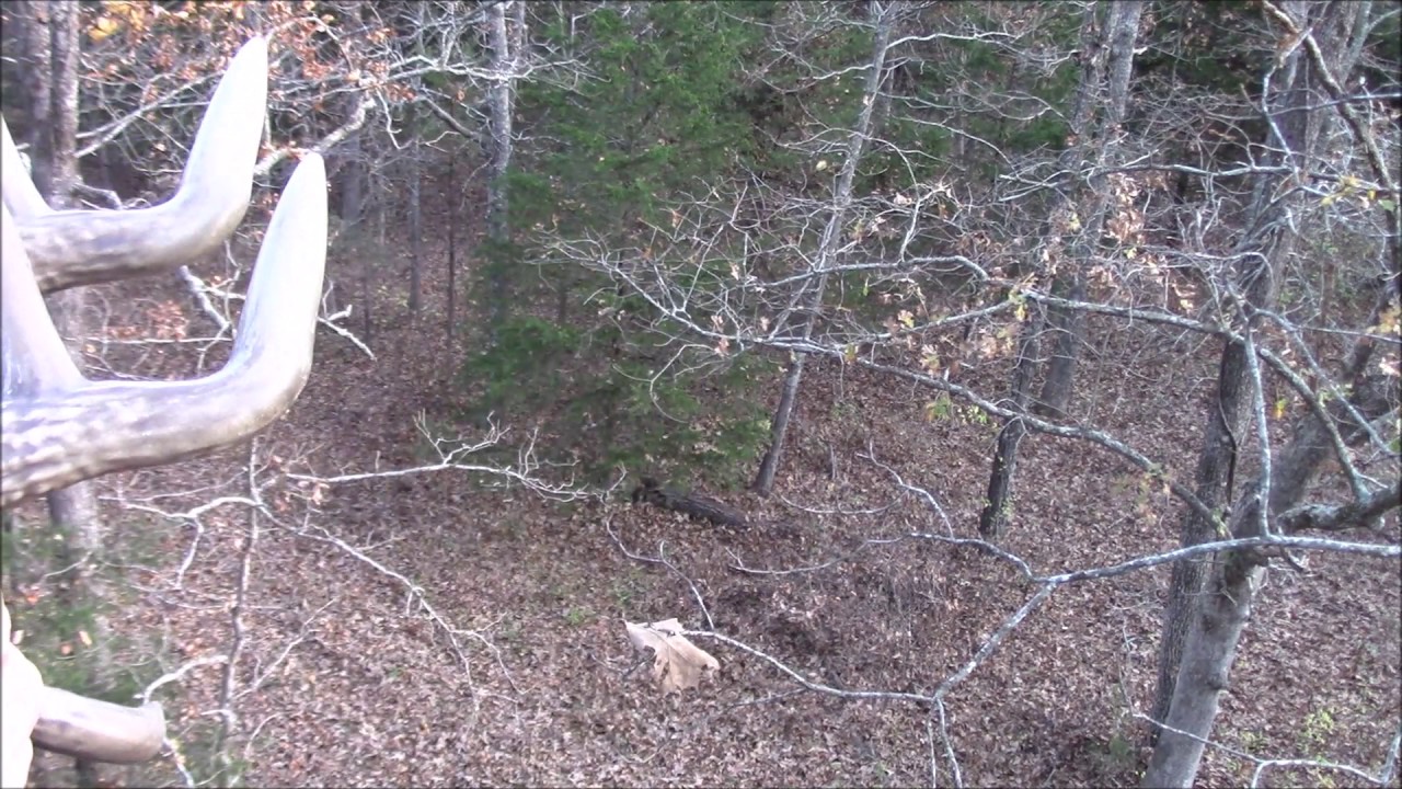 My tips on rattle in a whitetail deer during the seeking and chasing ...