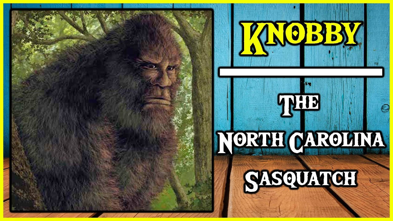 Unveiling the Mysterious Knobby: North Carolina's Legendary Sasquatch ...