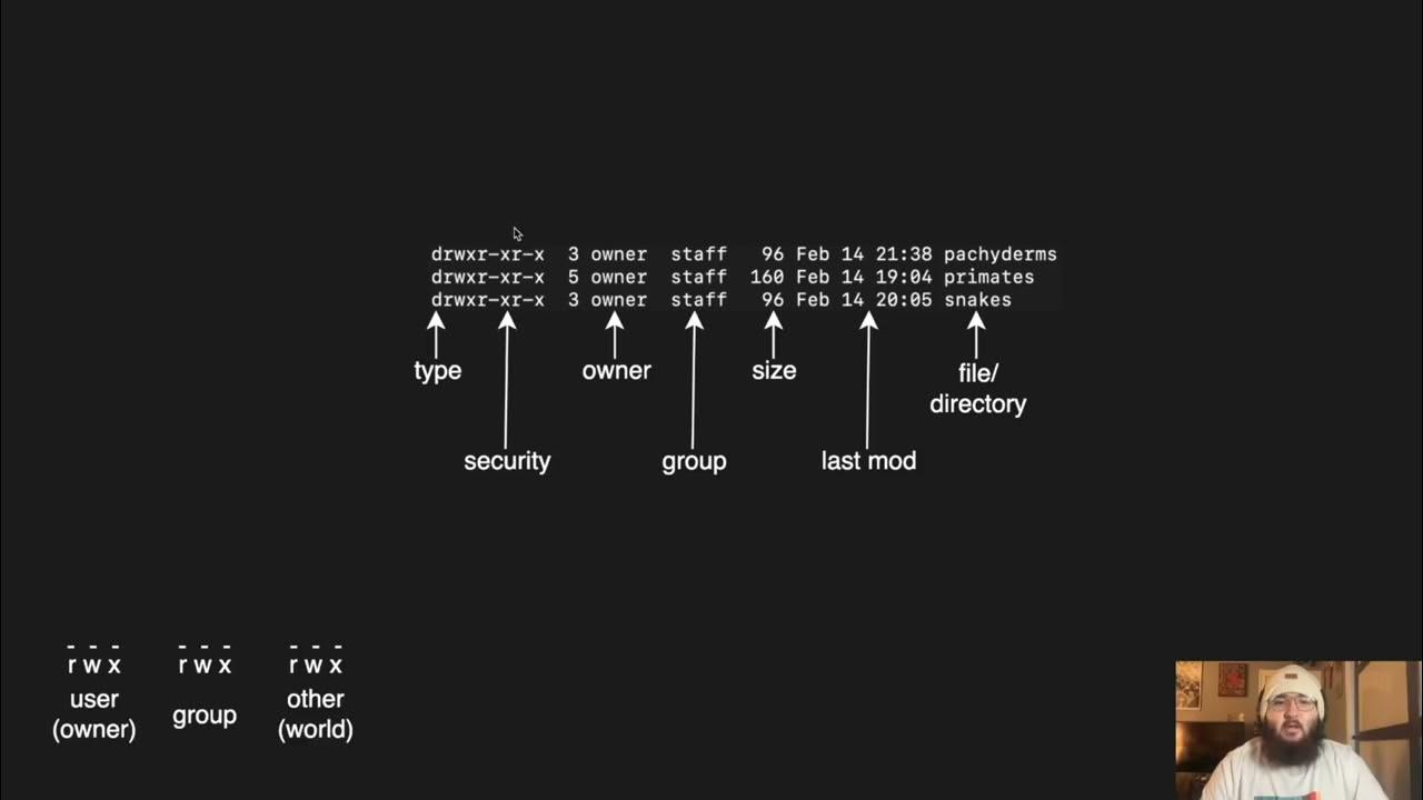 Linux File Management & Security: Essential Commands Explained (Part 3 ...