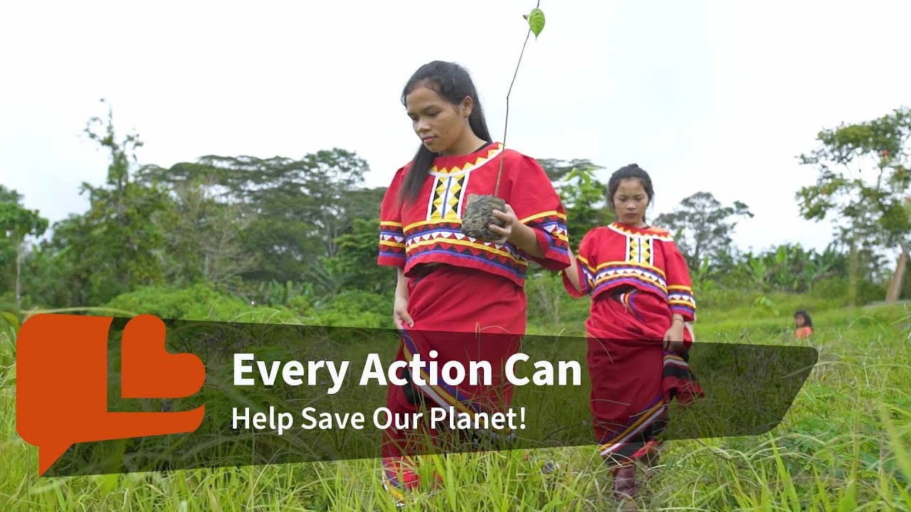 Save The Forests in Philippines: You Can Help To Plant a Tree! - YouTube
