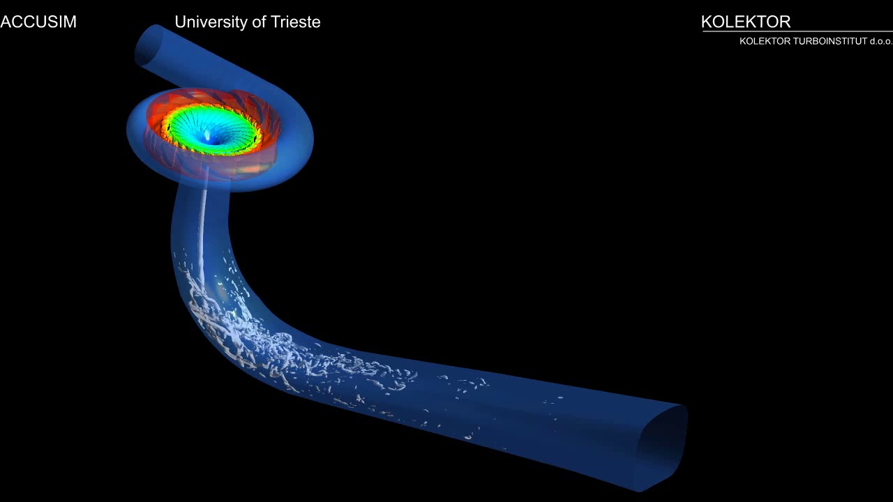ACCUSIM: Flow in a Francis turbine at best-efficiency point (vortical ...