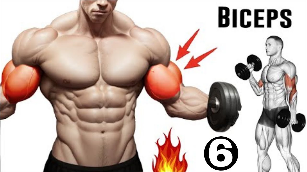 { week 5 } BEST biceps workout 💪 / at gym bigger biceps exercise - YouTube