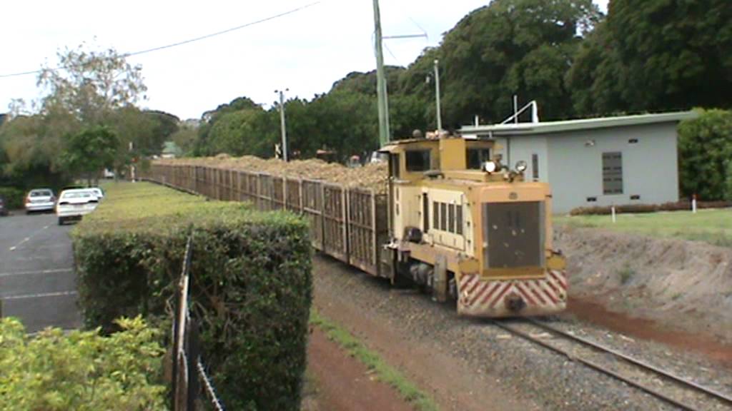 sugar cane train australia, isis loco d11 - YouTube
