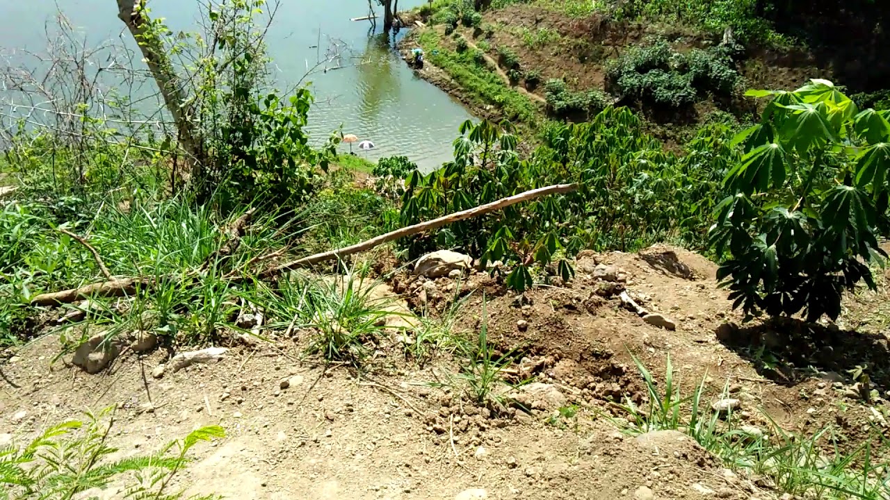 Pemandangan waduk logung yang indah - YouTube