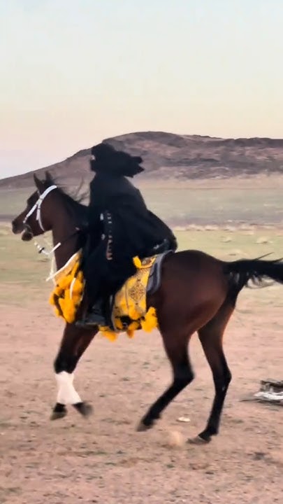 خيالة #السعودية #اكسبلور #كلمه #خيالة #خيال#العيدابي - YouTube