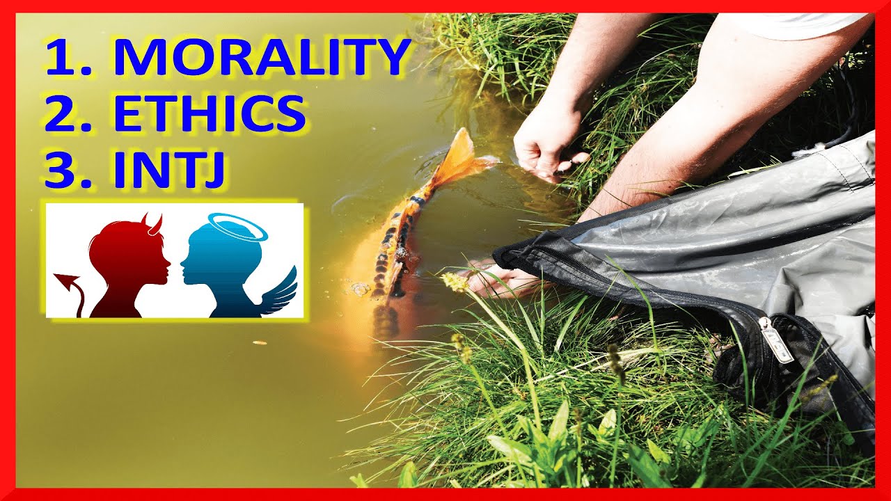 INTJ MORAL, ETHICAL, SPIRITUAL CODE a.k.a. REFLECTION FOR EVERY INTJ ...