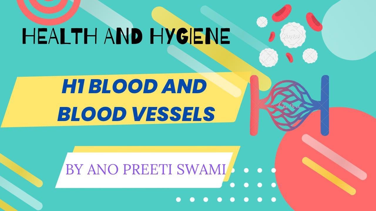 H1 Blood and Blood Vessels - YouTube