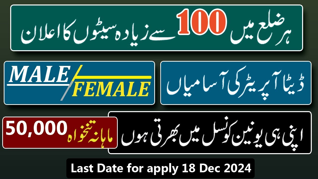 Union Council Computer Operator Jobs 2024 for Boys and Grils Union Vise ...