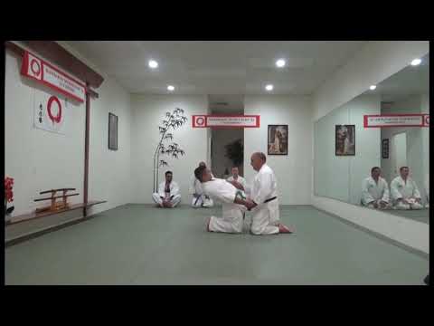 AIKI NO-JUTSU 2 of 3 Ray Gacita - YouTube