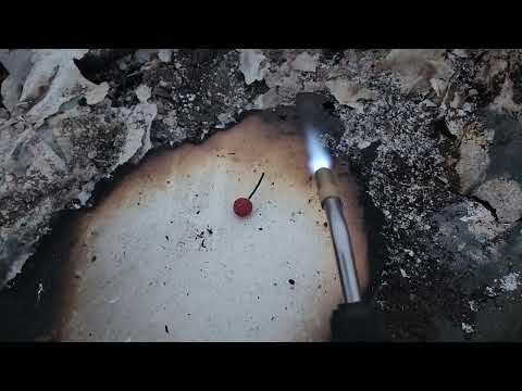 Cherry Bomb Firecracker Fireworks - YouTube