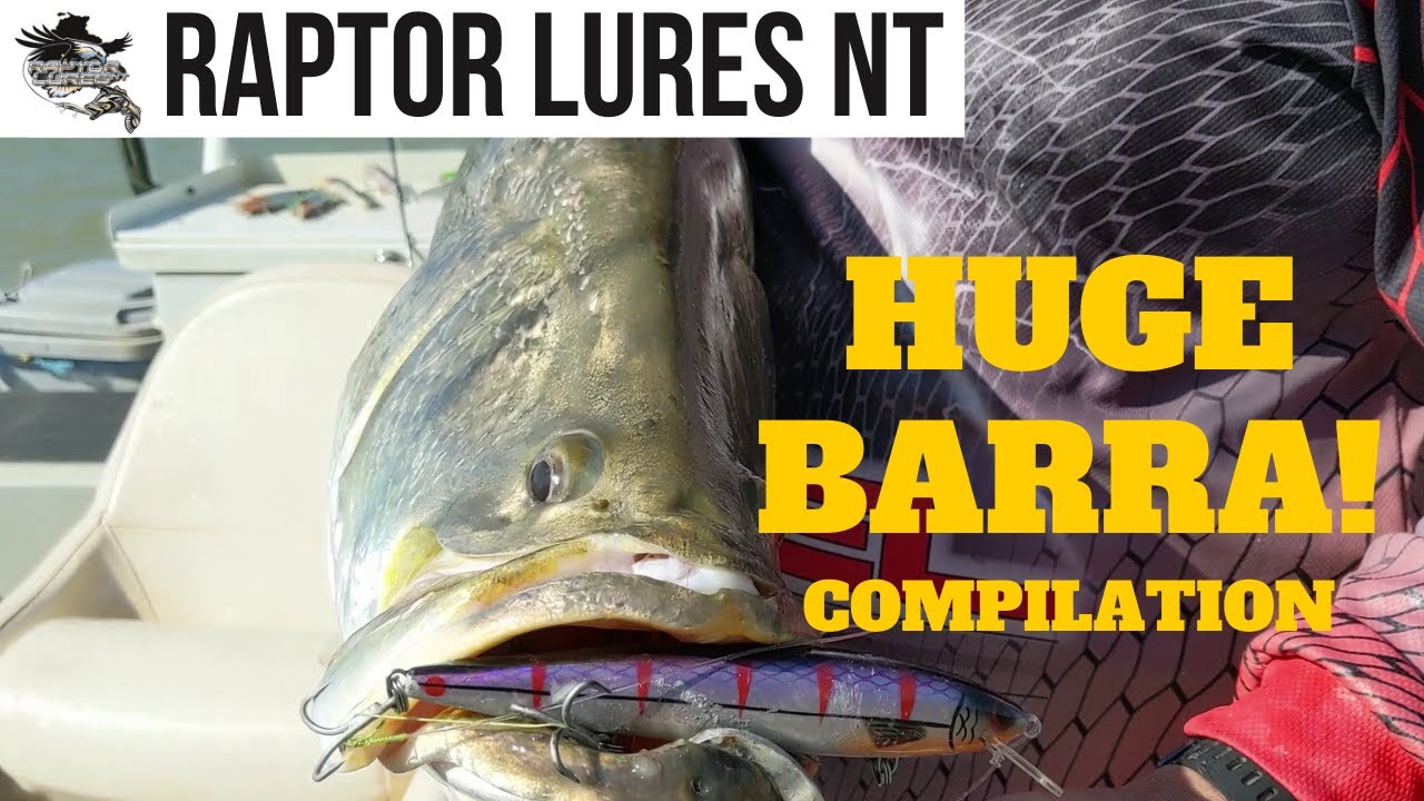 HUGE BARRA Compilation! 🤯 Fishing NT Australia! - YouTube