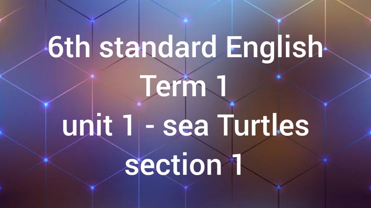 || 6th standard || || English || ||Term 1 || ||Unit 1 || ||Sea Turtles ...