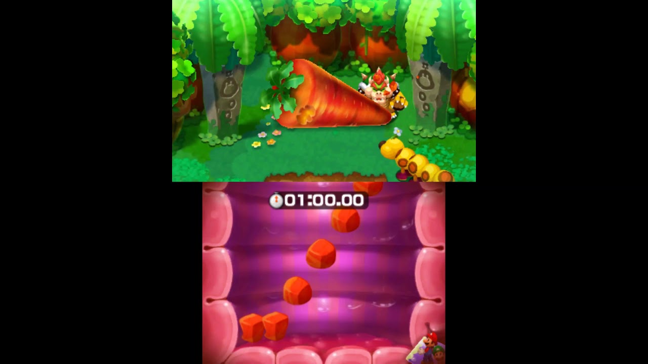 Mario & Luigi: Bowser's Inside Story - Dimble Woods Inside Bowser (DS ...