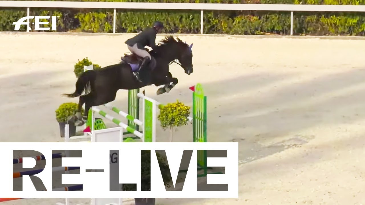 RE-LIVE | Competition N°5 - FEI WCHA-S Final (120cm) I FEI Jumping ...