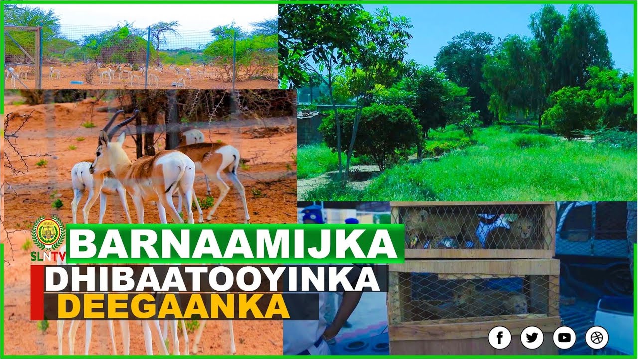 Barnaamijka Deegaanka | Dhibaatooyinka Deegaanka - YouTube