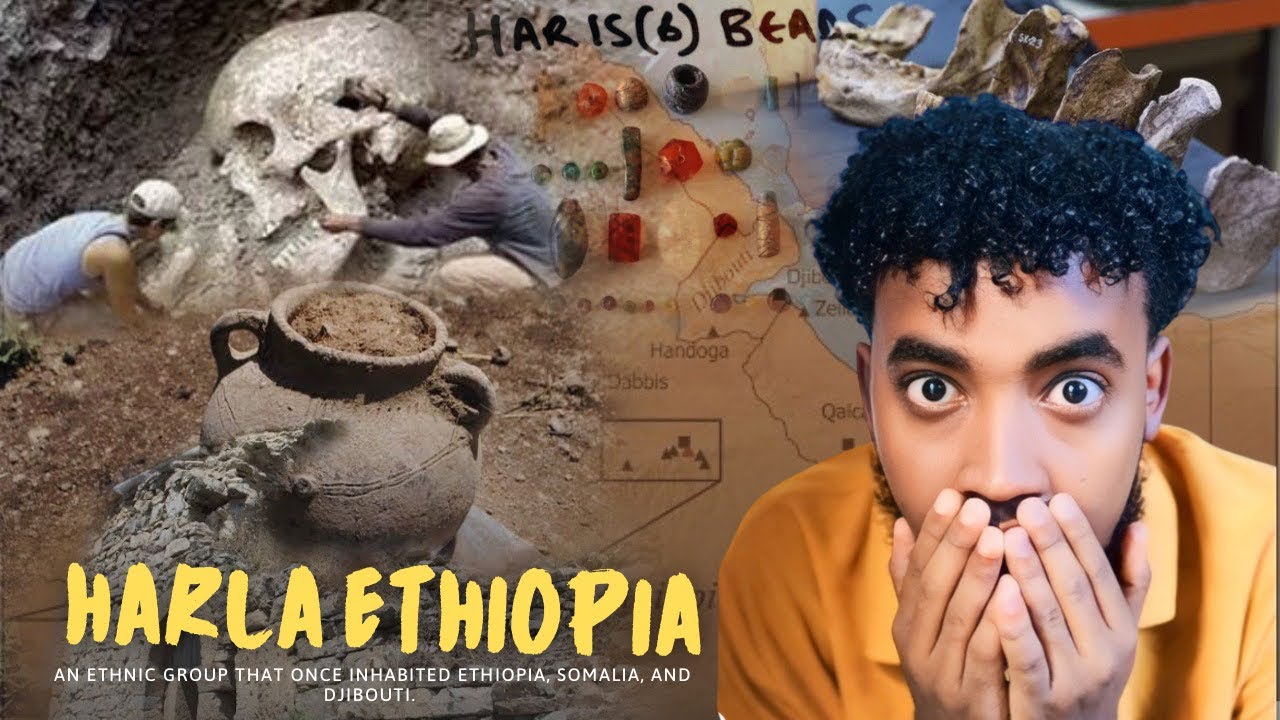 THE HARLA KINGDOM ETHIOPIA | Seena fi hambaale Hawaasa Harla - YouTube