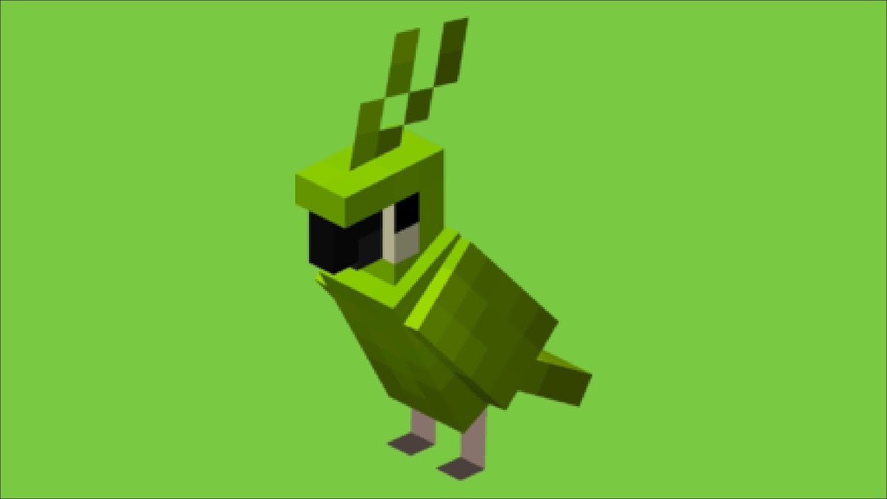 Parrot Dance - YouTube