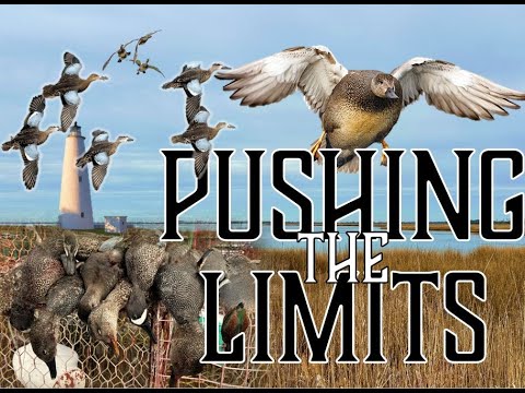PUBLIC LAND Puddle Duck Hunting Coastal North Carolina | Feet Down IN ...