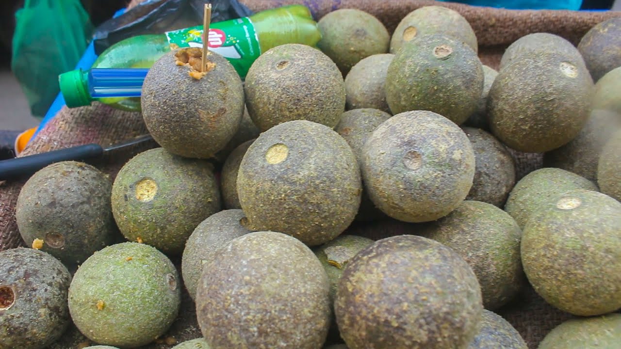 Tasty & Sour Wood Apple (Kot Bel) Selling by The Young Man Mojadar Tok ...