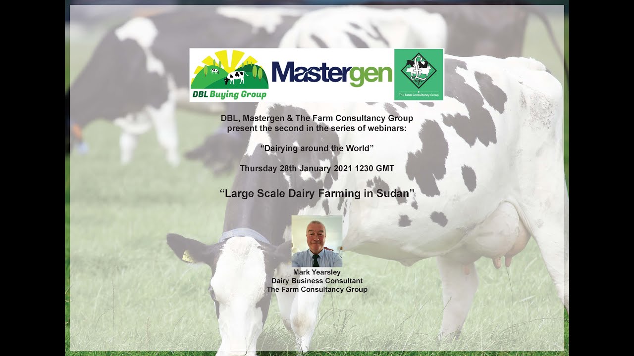 Dairying around the World - Large Scale Dairy Farming in Sudan - YouTube