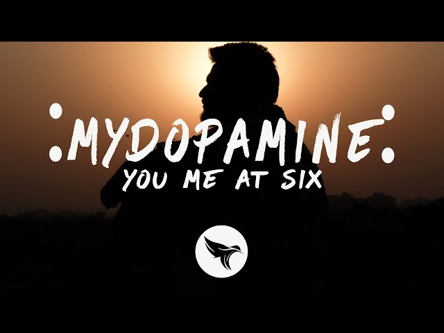 You Me At Six Lyrics 9029