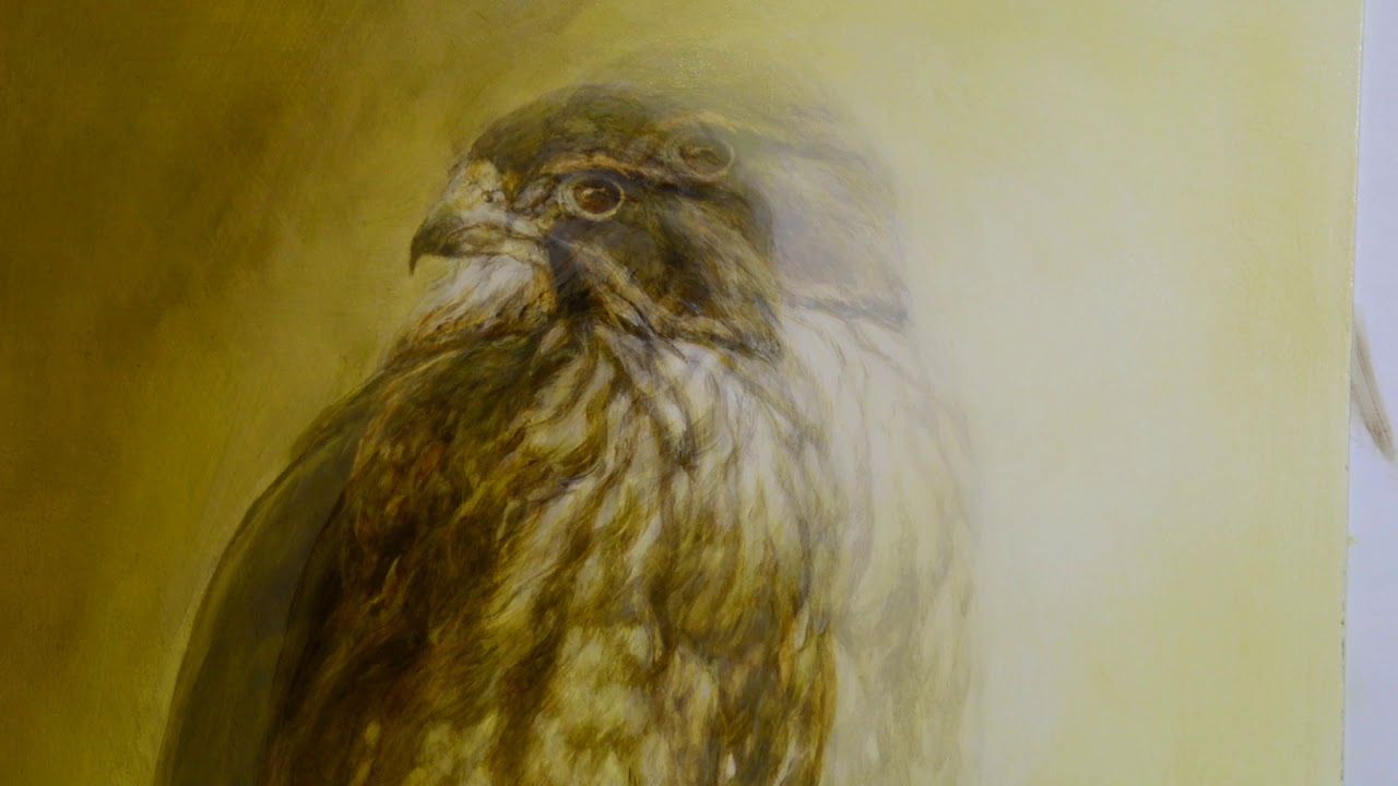 How to paint Birds, the Art of Merrilyn Jaquiery - YouTube