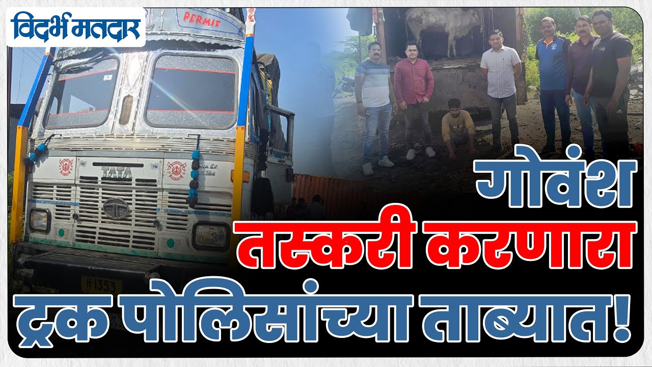 Amravati अमरावतीत गोवंश तस्करी करणारा ट्रक पोलिसांच्या ताब्यात! # ...