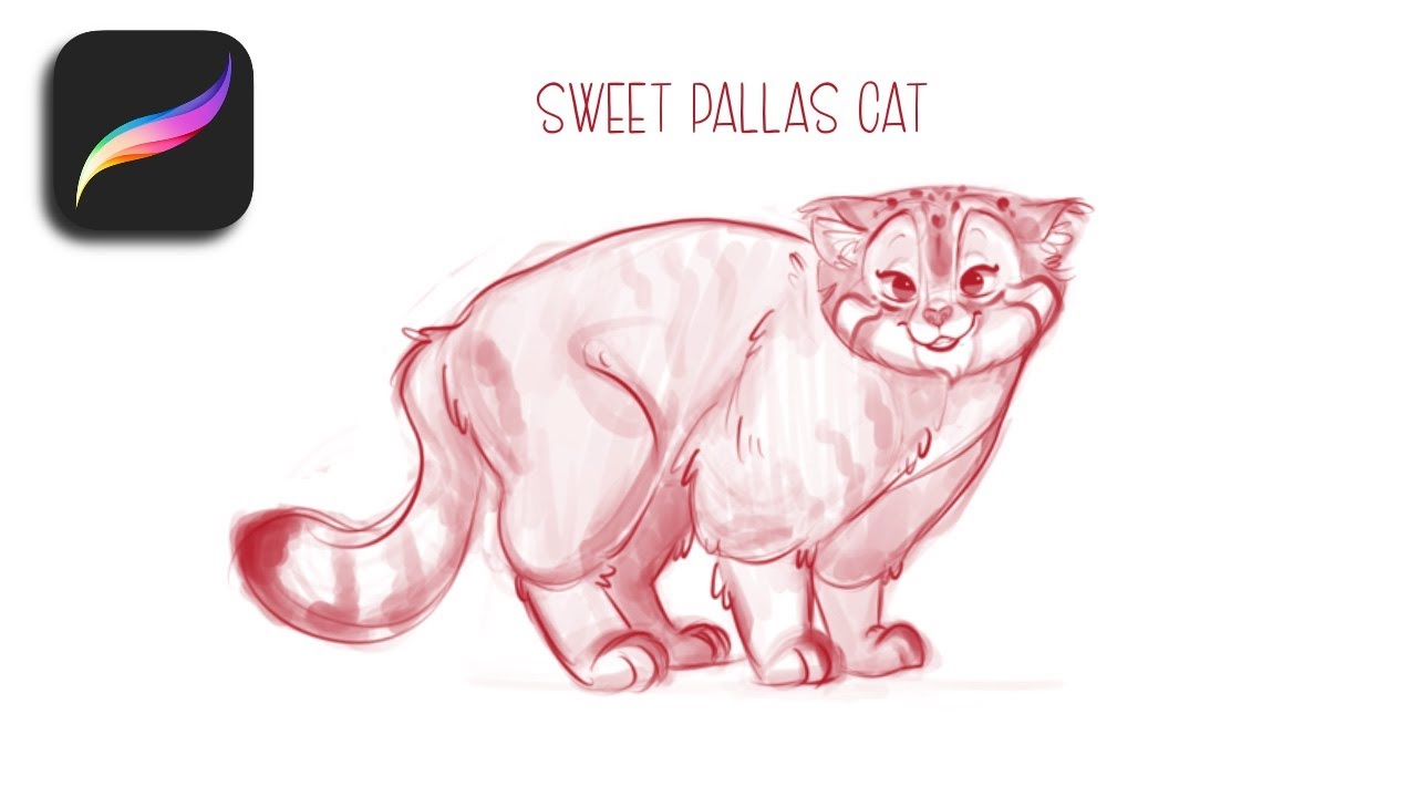 Cartooning a Sweet Pallas Cat in Procreate - YouTube