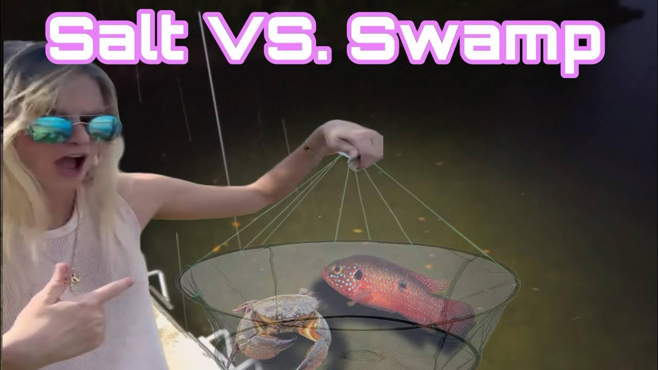 Salt VS Swamp (TRAPPING) - YouTube