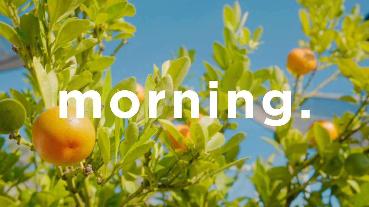 Slow Morning - GH5S + Panasonic 10-25 + Nisi allure mist black 1/4 ...