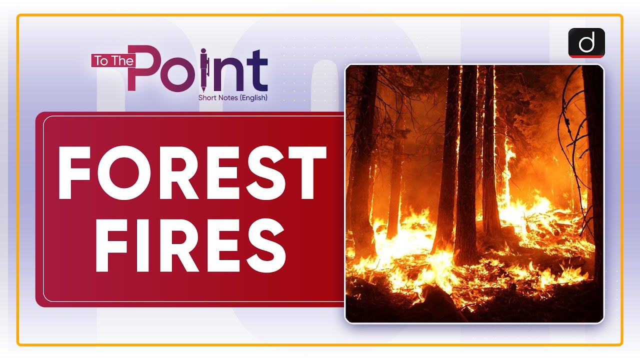 Forest Fires - To The Point | Drishti IAS English - YouTube