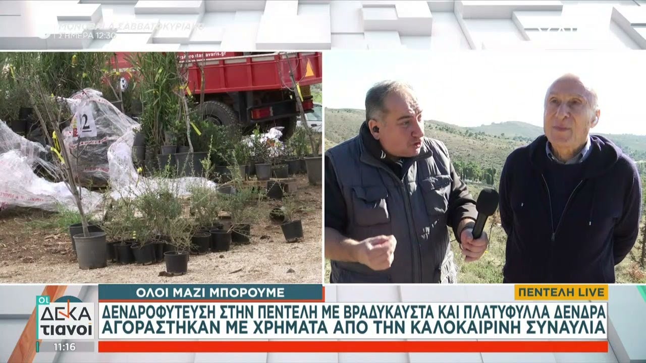 Όλοι Μαζί Μπορούμε: Δενδροφύτευση στην Πεντέλη με βραδύκαυστα και ...